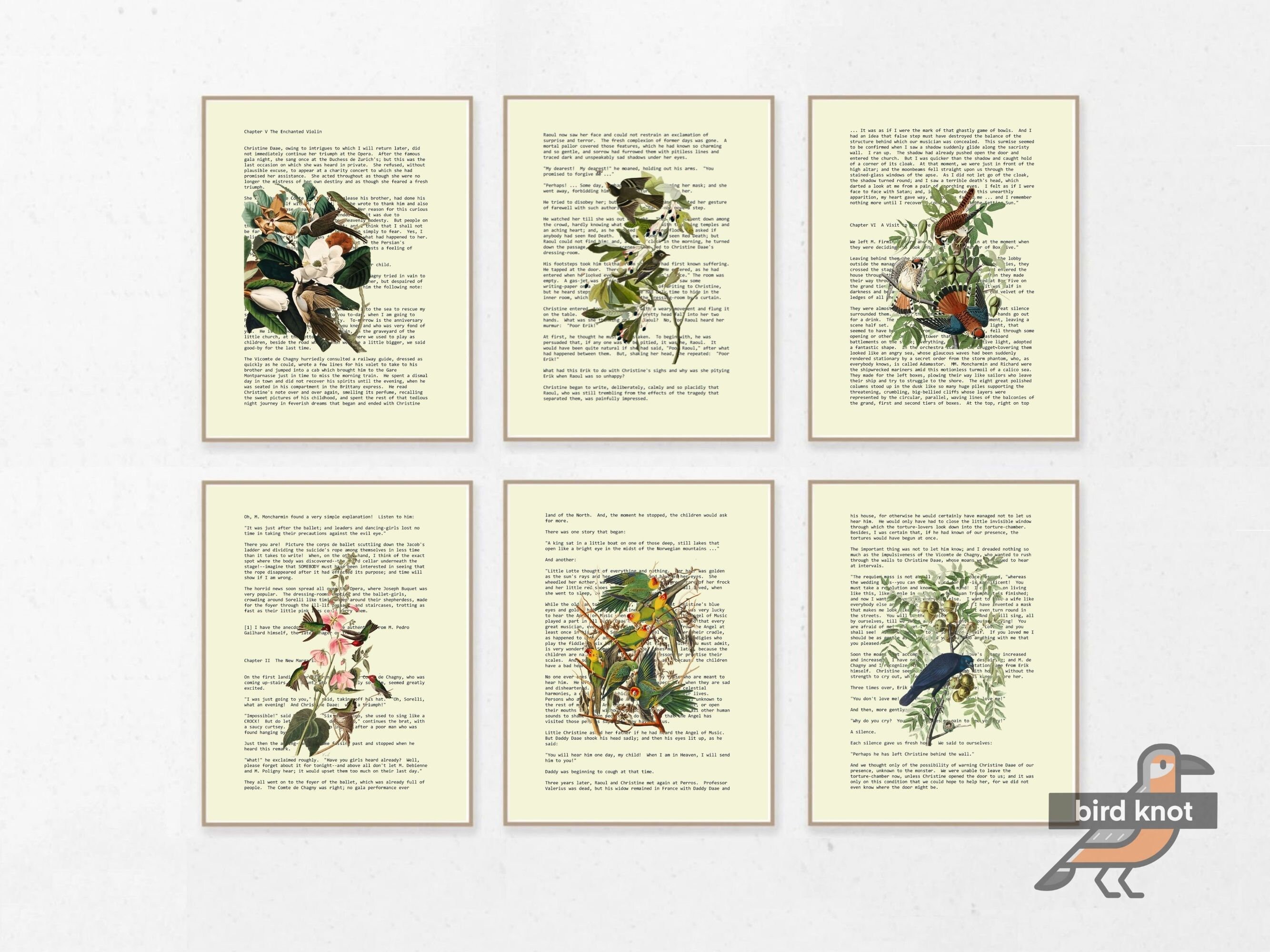 The Phantom of the Opera Birds & Flowers Printable Art on Novel Pages ...