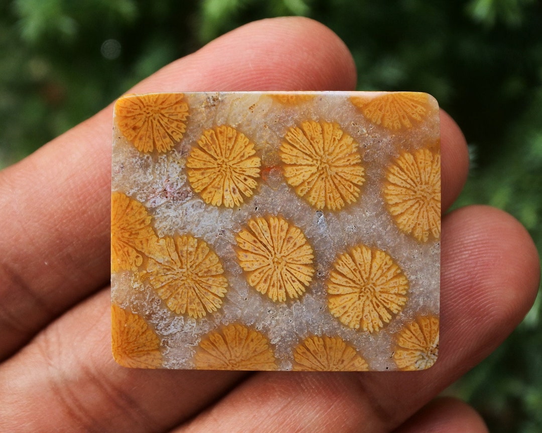 Coral Agate,agate Rock,agate Stone, Malachite Gemstone,mohs Scales of ...