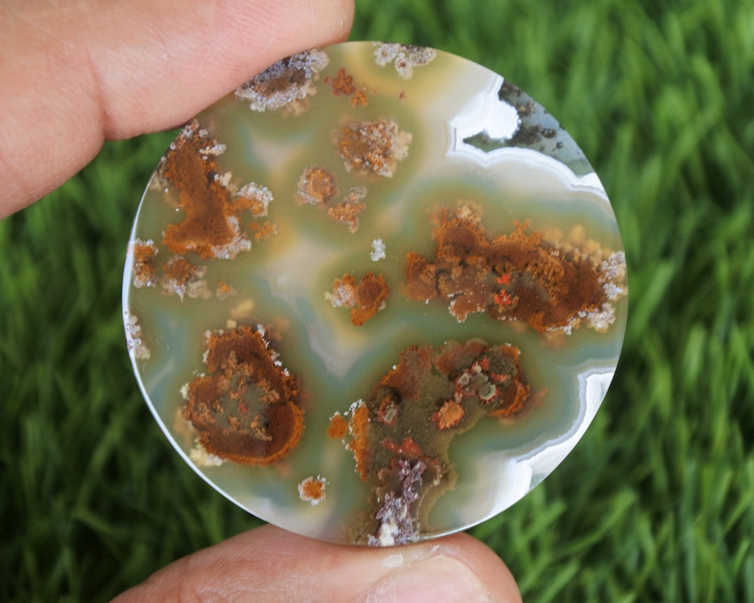 Moss Agate, Crimson Agate,agate Healing Properties,agate Beach,agate ...