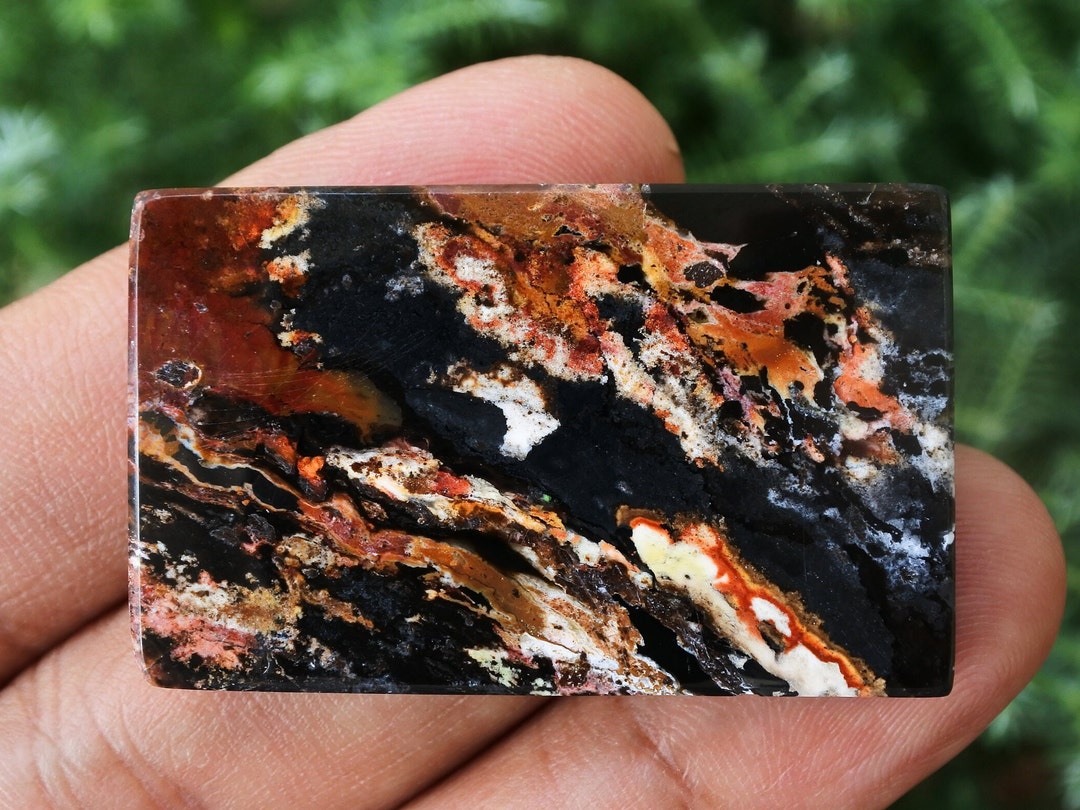 Multicolor Opalized Petrified Wood Agate Stone: Gemstone Display Piece ...
