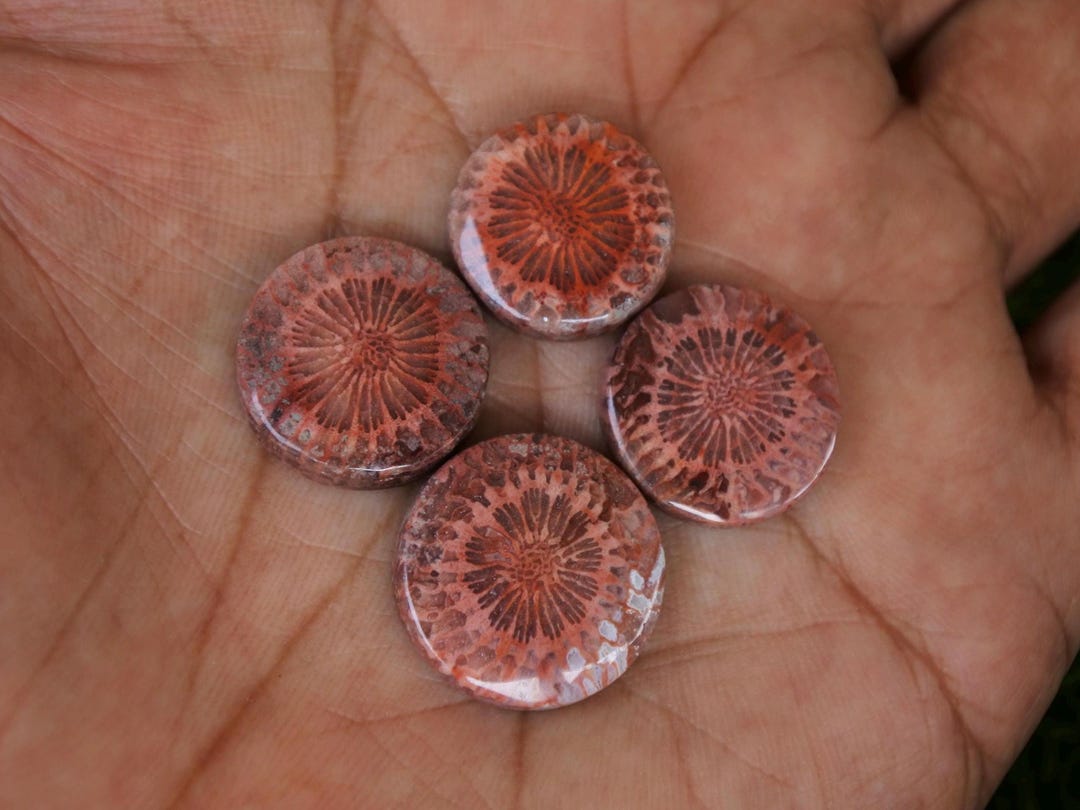 Single Flower Coral Agate,agate Rock,agate Stone, Malachite Gemstone ...