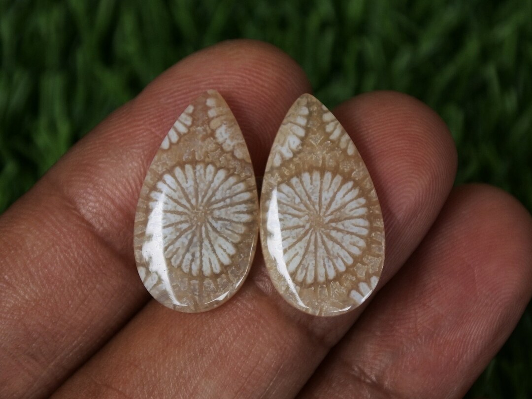 Coral Agate Earring Pair,agate Rock,agate Stone, Malachite Gemstone ...