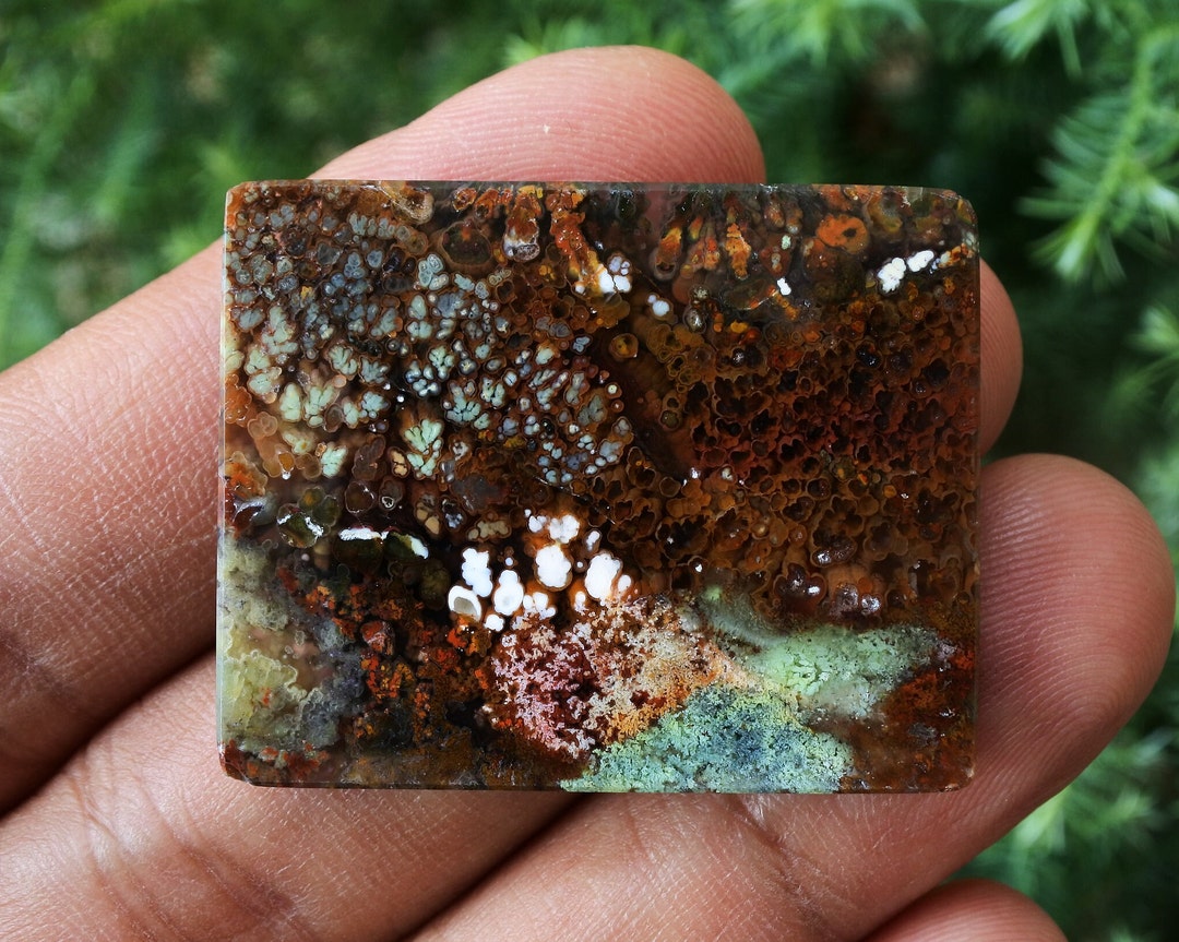 Multicolor Plume Opalized Petrified Wood - Etsy