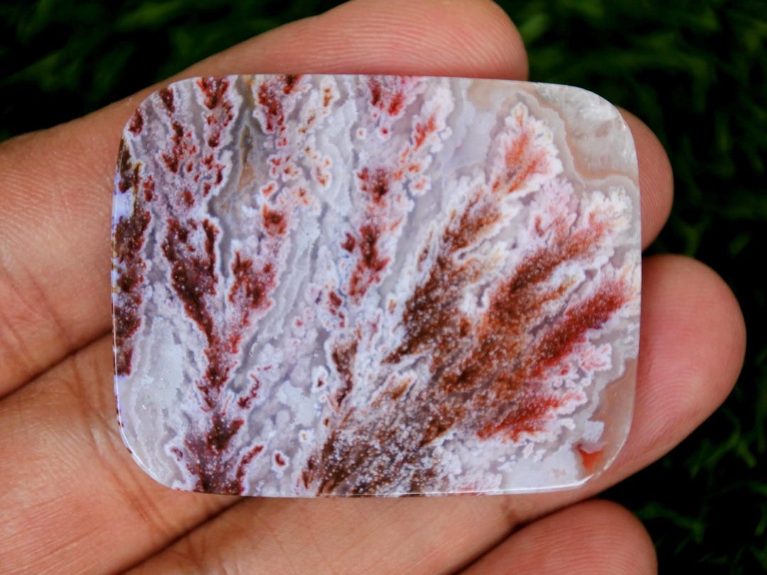 Java Plume Agate, Crimson Agate,agate Healing Properties,agate Beach ...