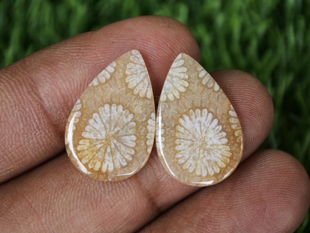 Coral Agate Earring Pair,agate Rock,agate Stone, Malachite Gemstone ...