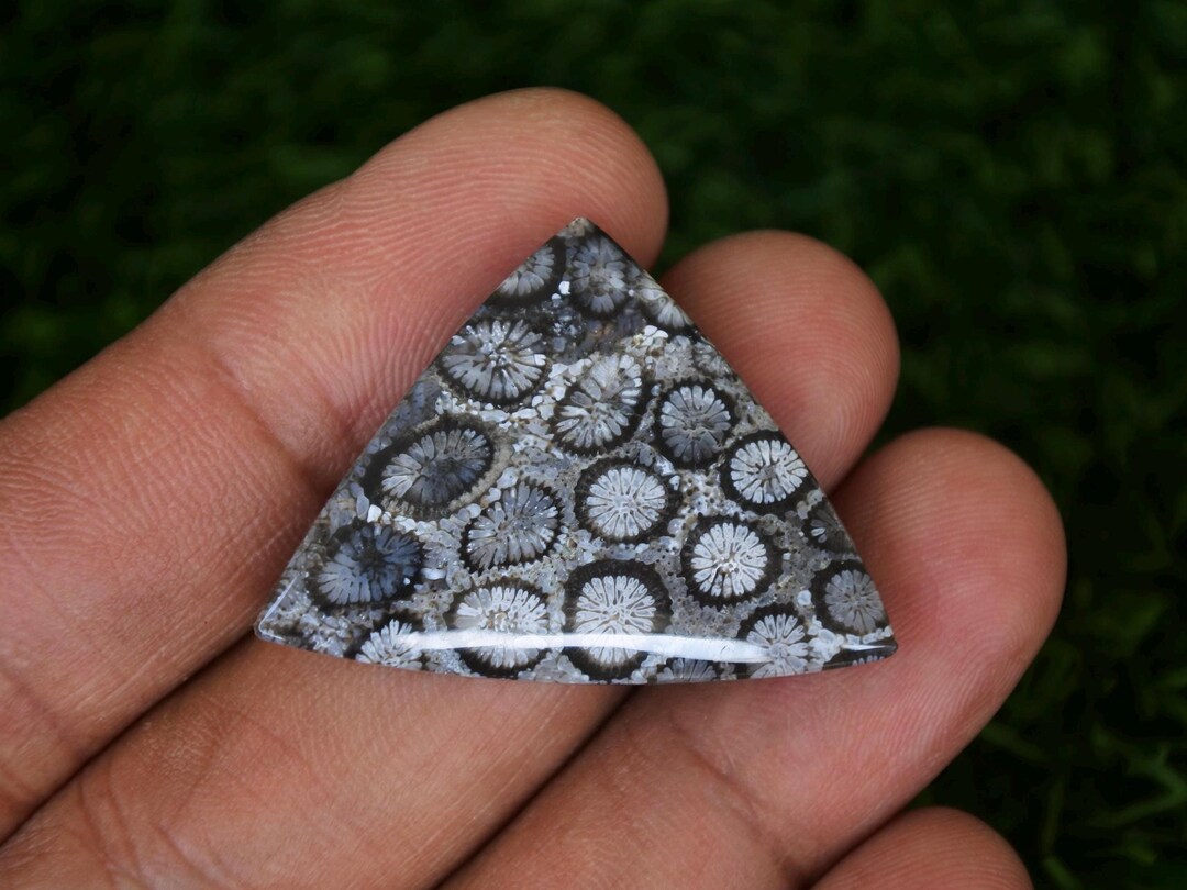 Black Coral Agate,agate Rock,agate Stone, Malachite Gemstone,mohs ...