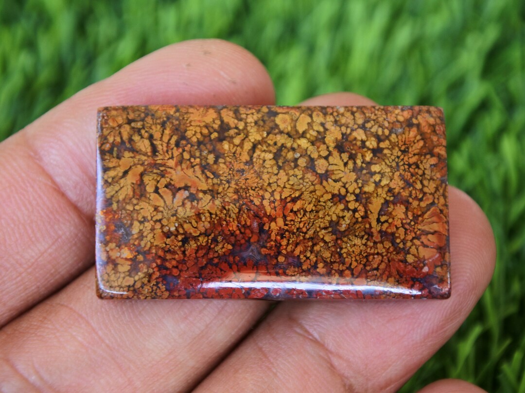 Plume Jasper ,crimson Agate,agate Healing Properties,agate Beach,agate ...