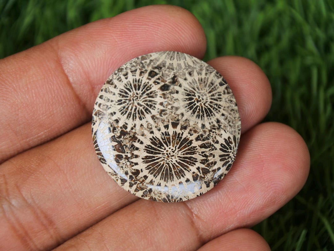 Coral Agate,agate Rock,agate Stone, Malachite Gemstone,mohs Scales of ...