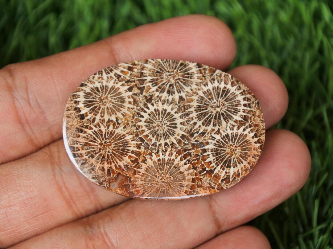 Coral Agate Stone: Flower Pattern Gemstone - Etsy