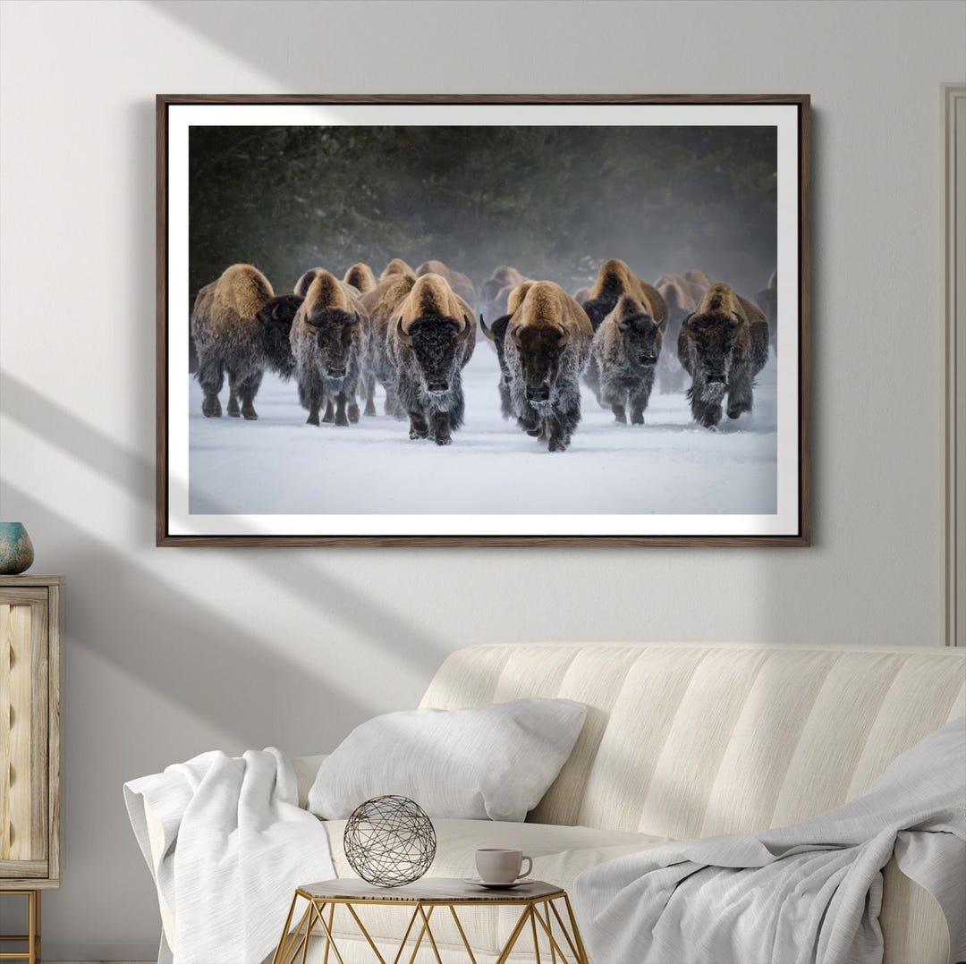 Buffalo Canvas Wall Art, Bison Wall Decor, Animal Wall Art, Buffalo ...