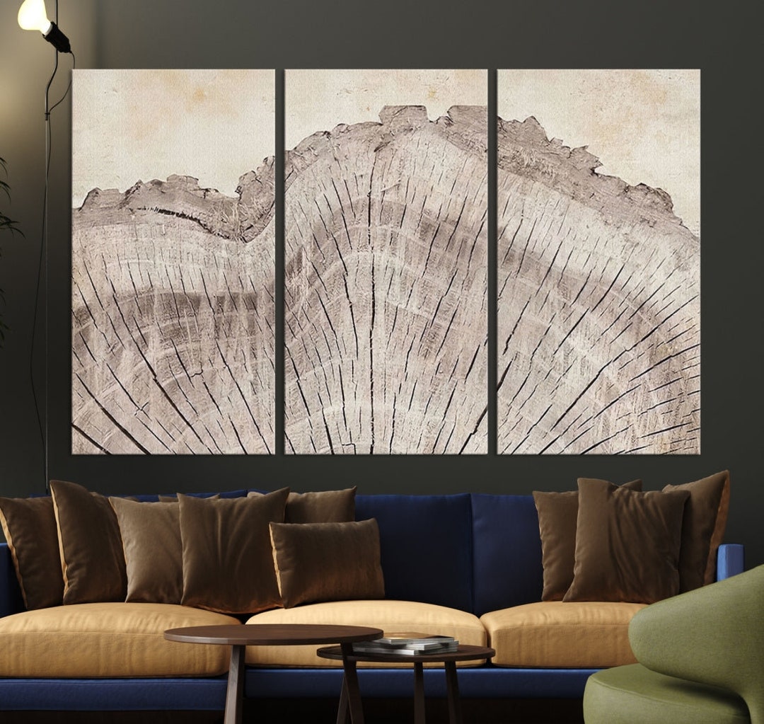 Framed Canvas Print Wall Art Set Oak Wood Tree Rings Illustrations ...