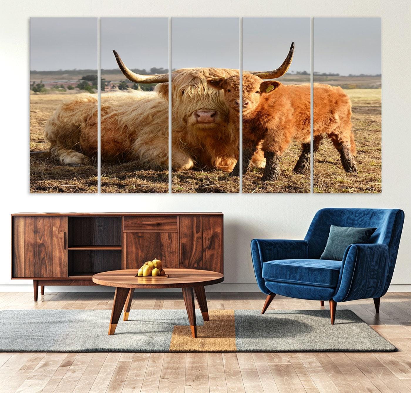 Scottish Highland Baby Cow Wall Art Canvas Print for Western Cowboy ...