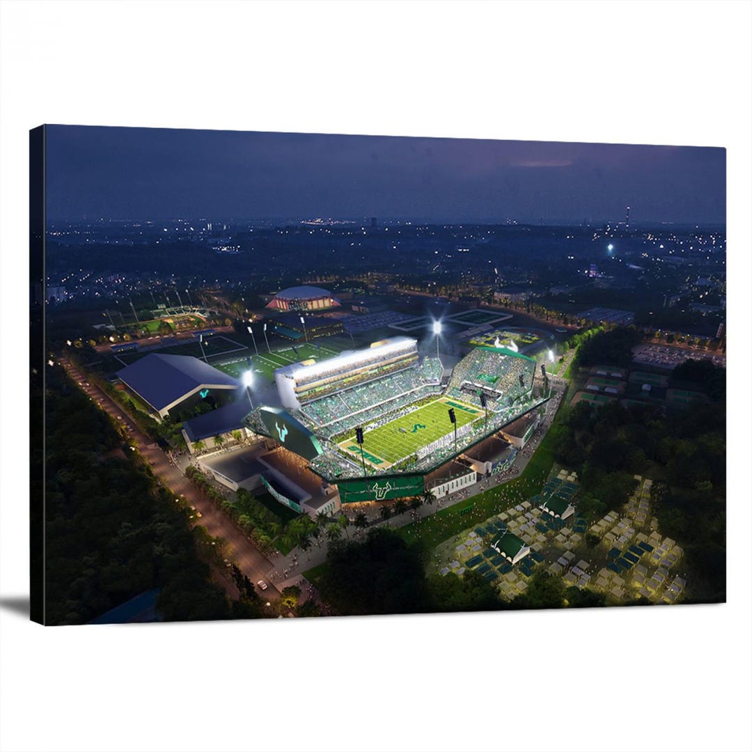 Aerial Night View Football Stadium Canvas Wall Art Giclee Sports ...