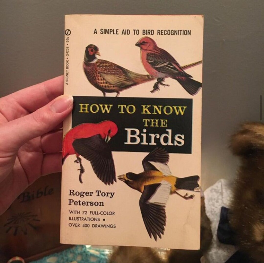 1957 How to Know the B I R D S Book - Etsy