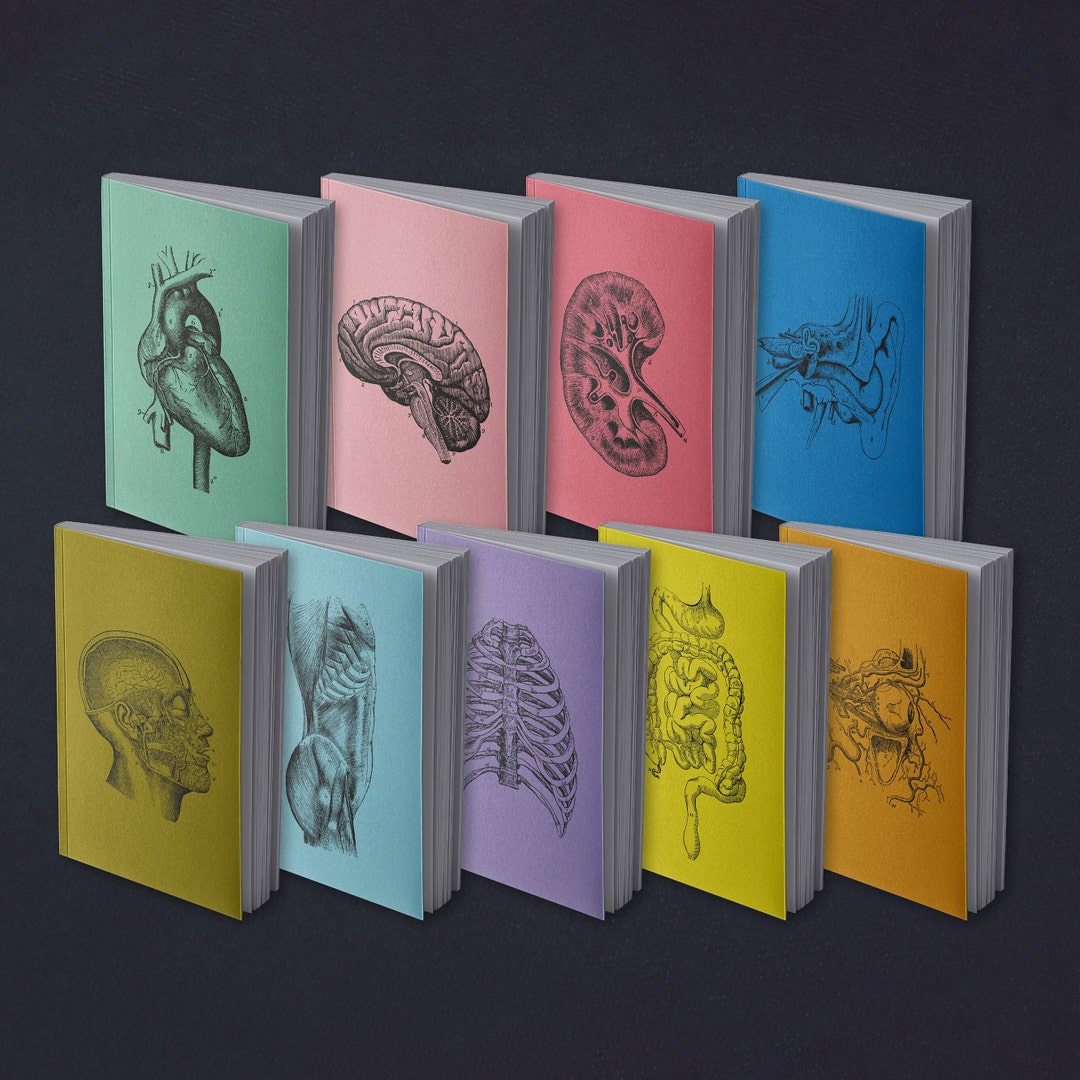 Notebook Human Heart, Brain, Kidney, Innards, Eye, Ear or Torso, Rib ...