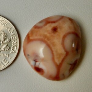 Pink Thomsonite Cabochon, Great Lakes Stone for Jewelry Making, North ...