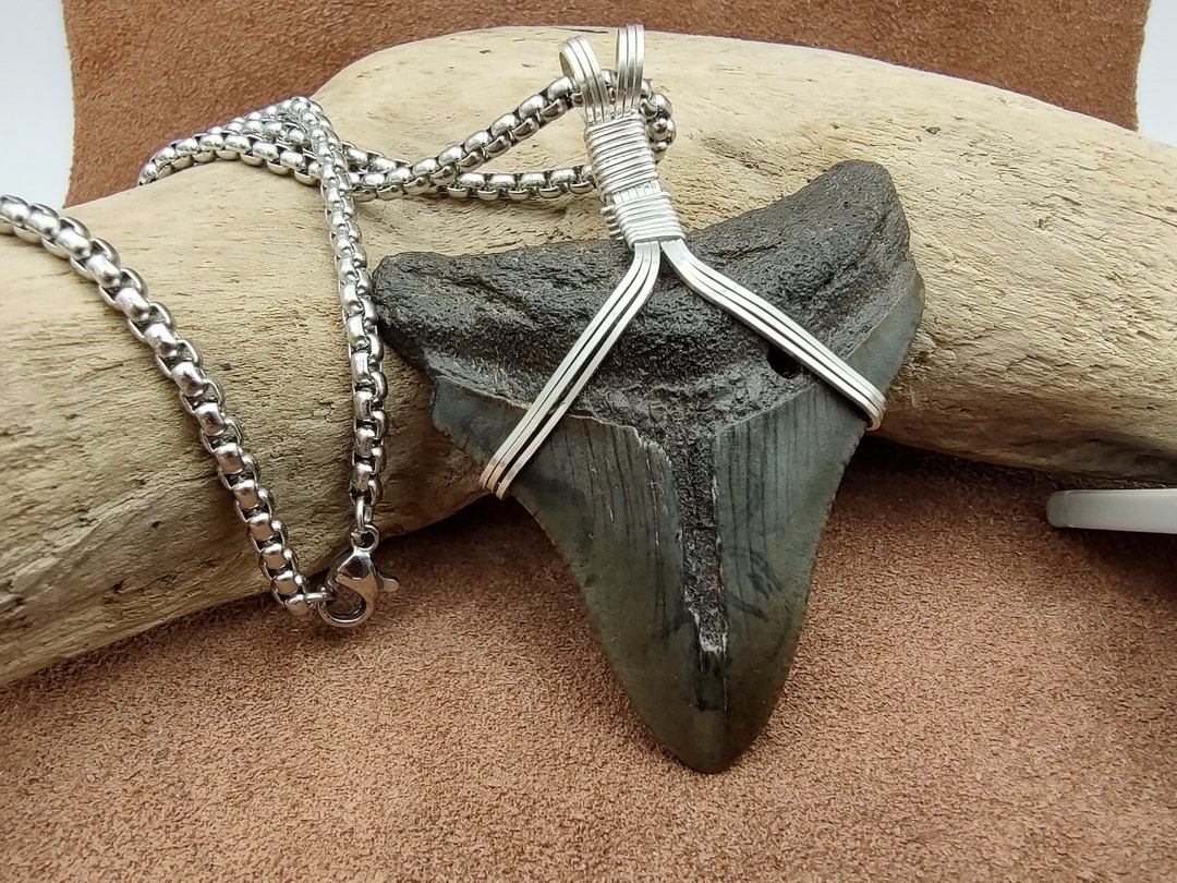Natural Megalodon Tooth Fossil Wire-wrapped Pendant in Argentium Wires ...