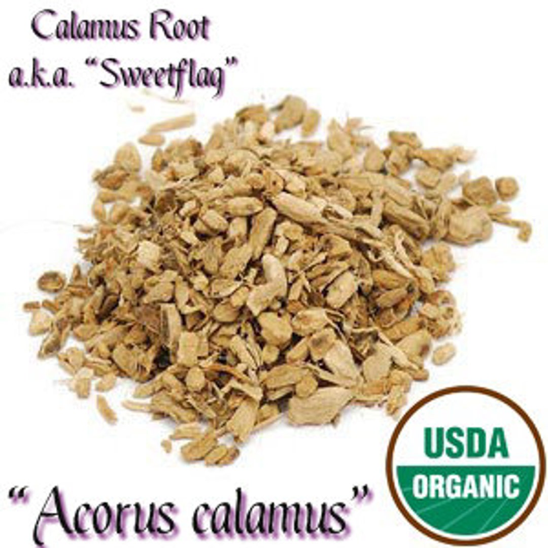 Calamus Root A.k.a “sweetflag” - Etsy