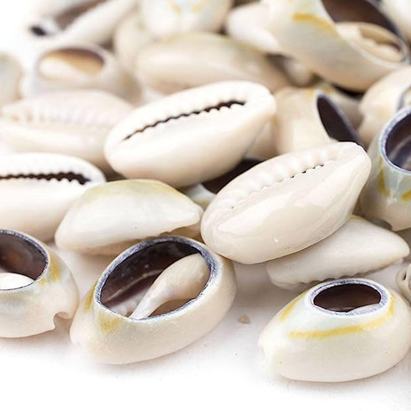 Cowrie - Etsy