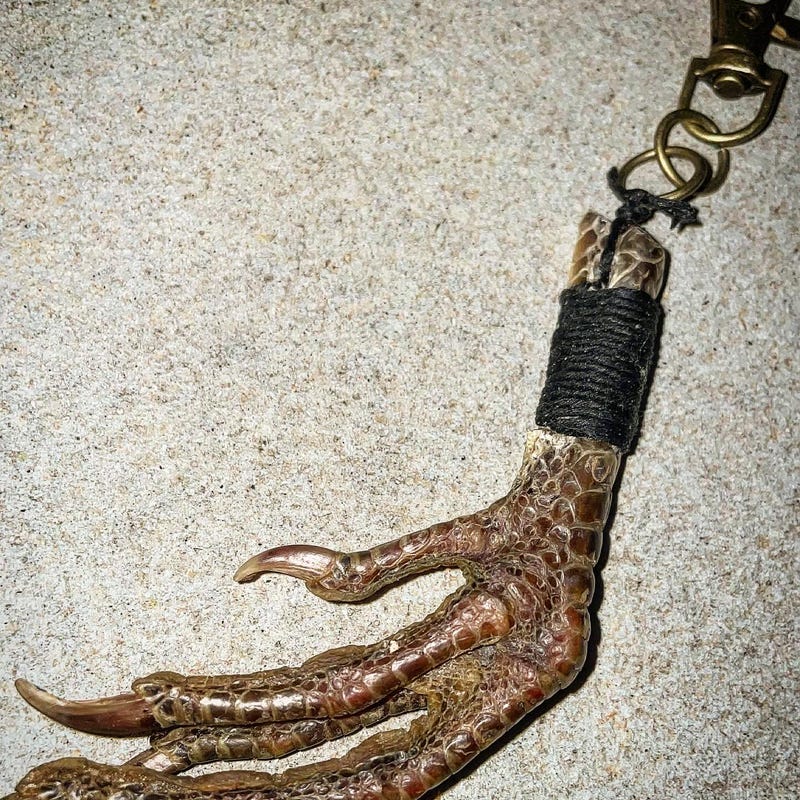 Hoodoo Chicken Feet - Etsy