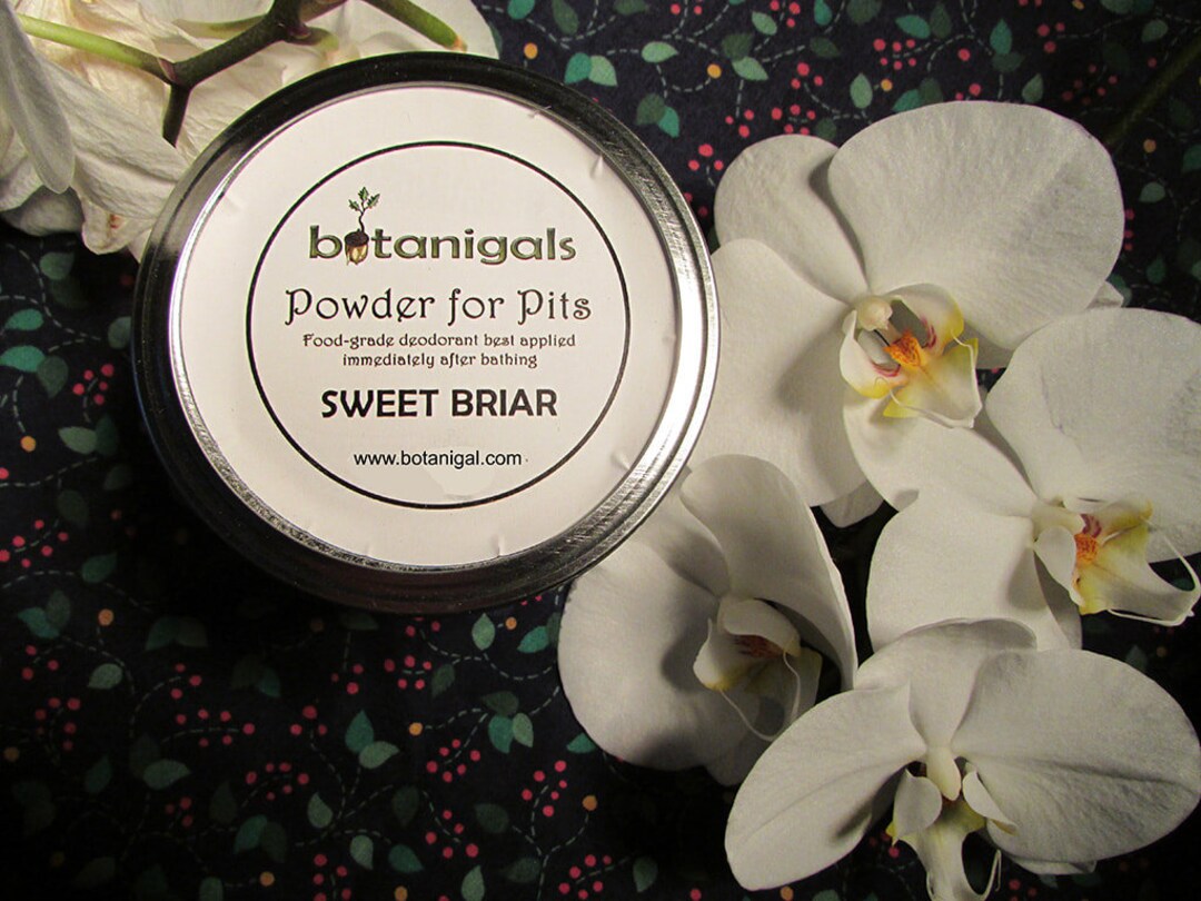 BOTANIGALS Pit Powder All Natural Gentle Underarm Deodorant - Etsy