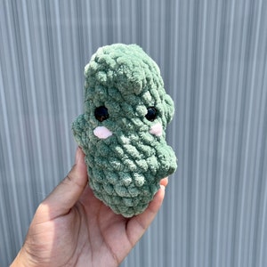 Pinky the Crochet Pickle Mini Amigurumi Cute Gift Plushy Handmade ...