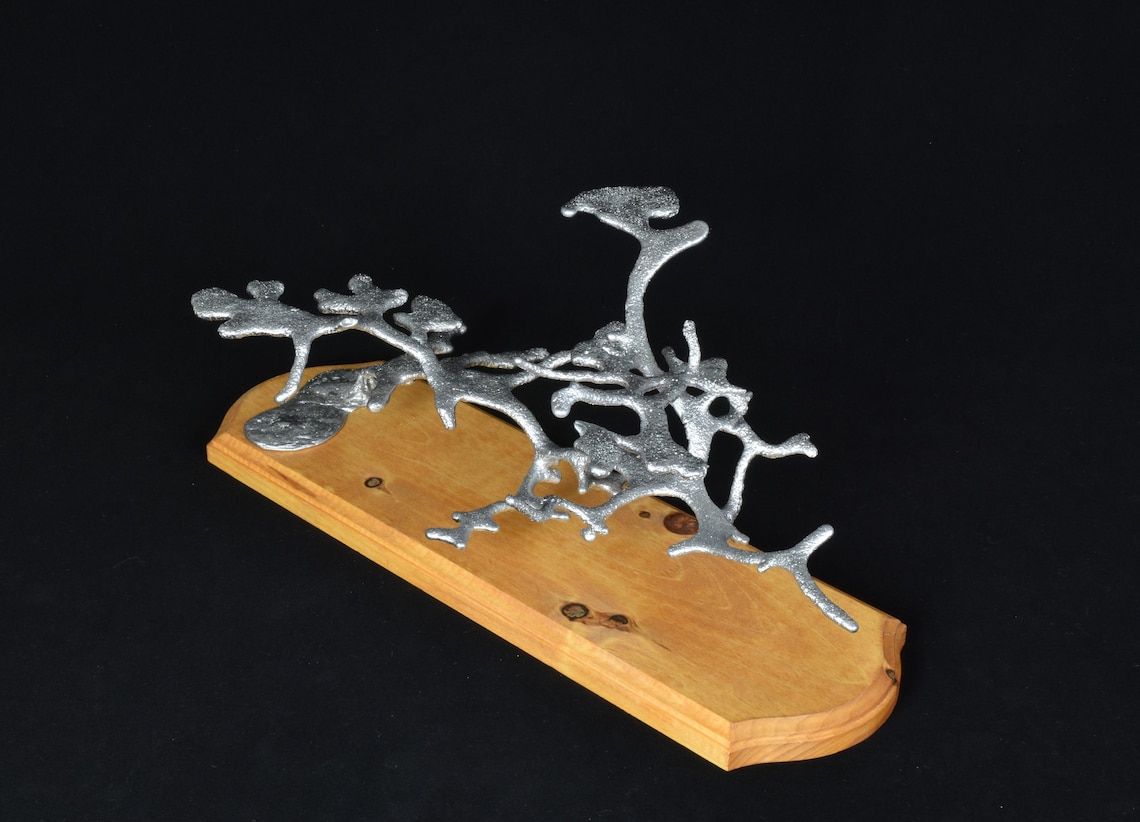 Anthill Art Casting Sculpture, Carpenter Ant Aluminum Casting 111 - Etsy