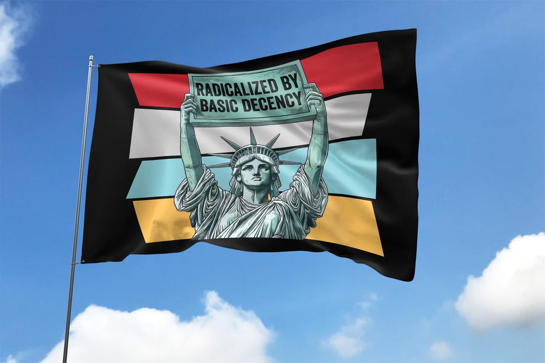 Radicalized by Basic Decency Flag, Social Justice Activist Flag, Anti ...