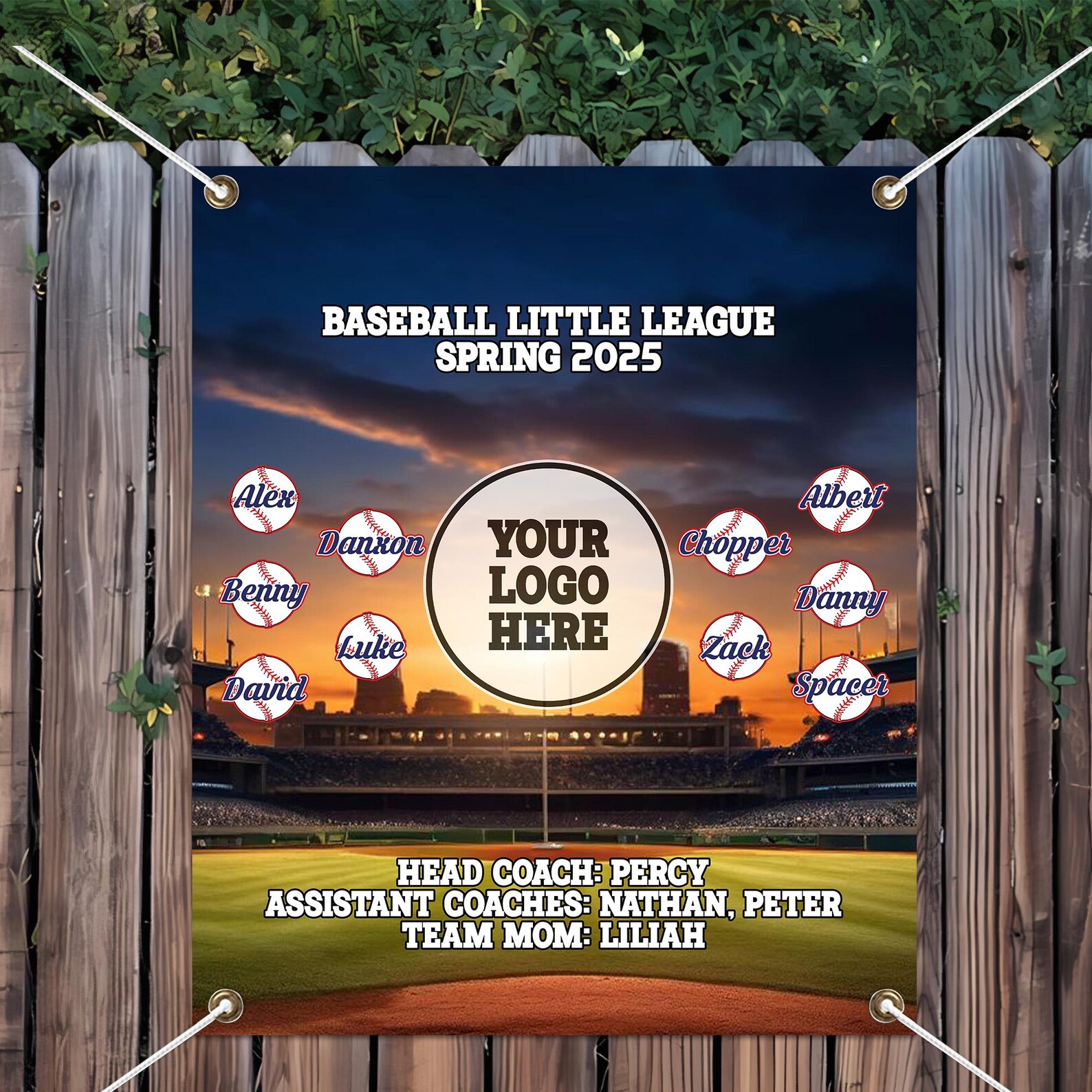 Custom Baseball Softball Team Banner With Grommets, Personalized Sports ...