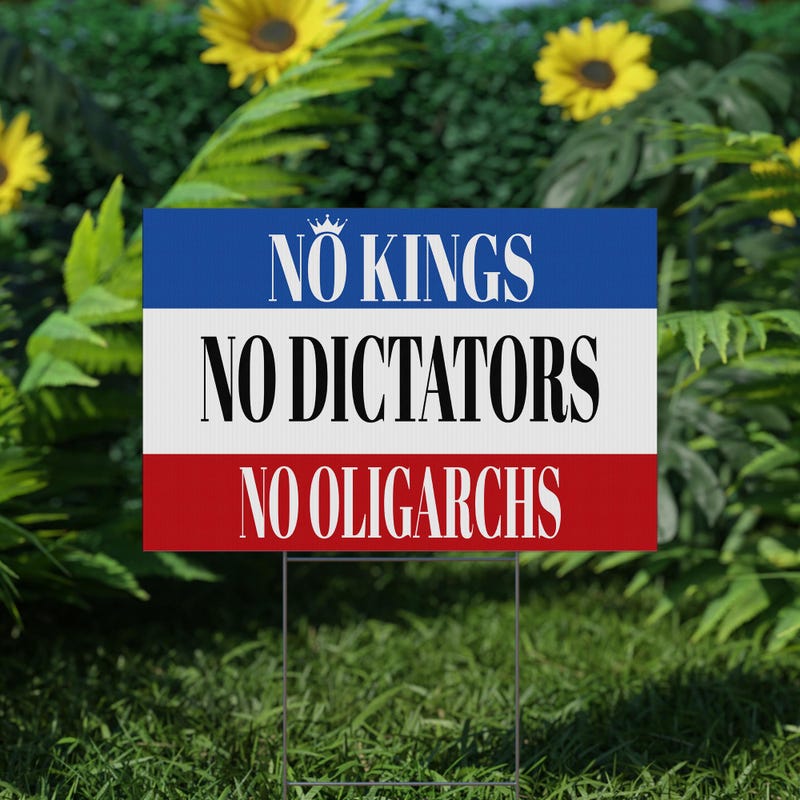 Democracy Protest Sign - Etsy