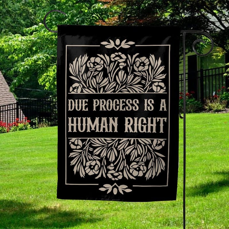 Due Process Protest Signs - Etsy