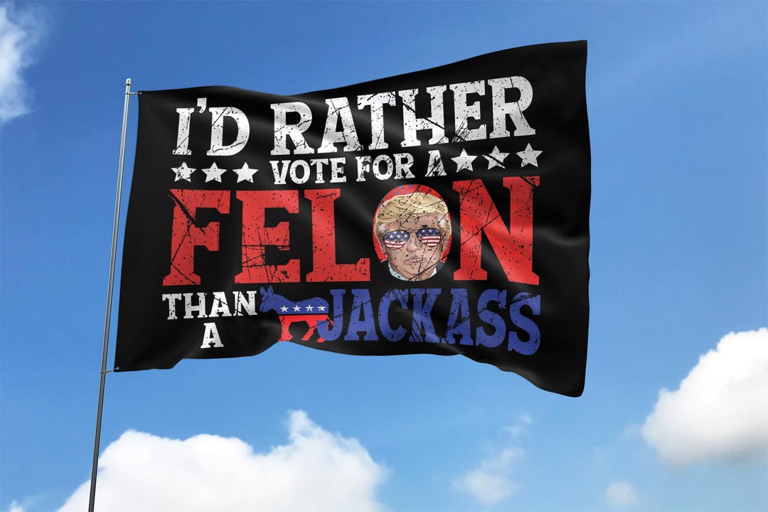 I'm Voting Convicted Felon 2024 House Flag, Voting for the Convicted ...
