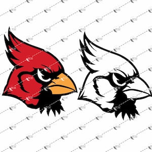 Cardinal Mascot Head Logo, Cardinals Football SVG, Cardinals Vector ...