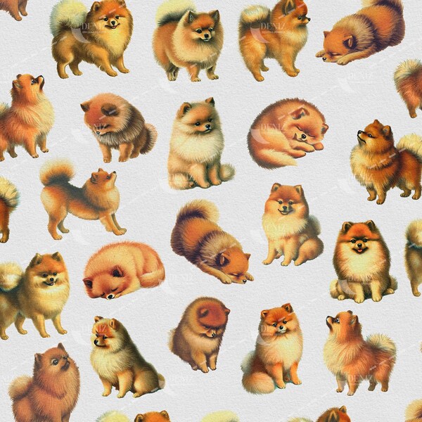 Pomeranian Pattern - Etsy
