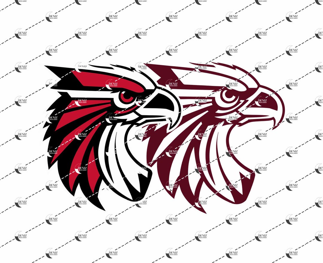 Falcon Mascot Head Logo, Falcons Football SVG, Falcons Vector File - Etsy