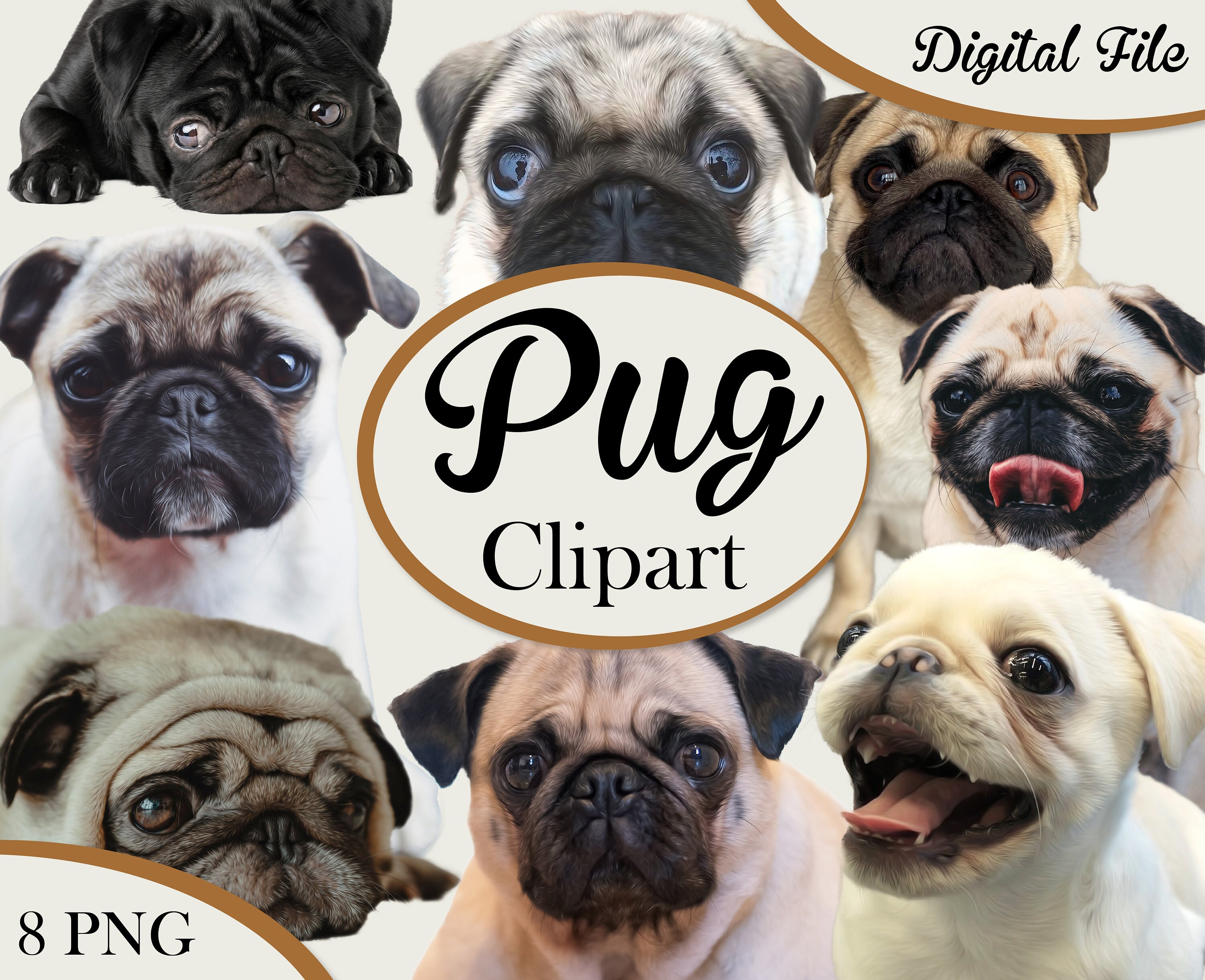 Pug Clipart PNG Pug Overlay Sublimation Design Digital - Etsy