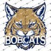 Bobcats Team Logo PNG: High School Mascot Sublimation/dtg/dtf Design ...