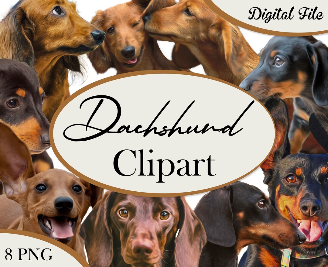 Dachshund Clipart, PNG, Dachshund Overlay, Sublimation Design, Digital ...
