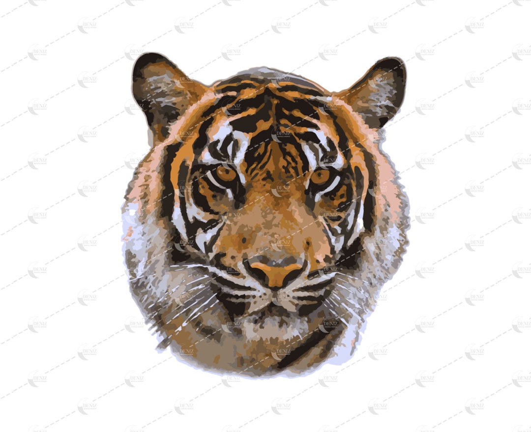 Tiger PNG, Tiger Sublimation Design, Tiger Face Clipart, Digital Tiger ...