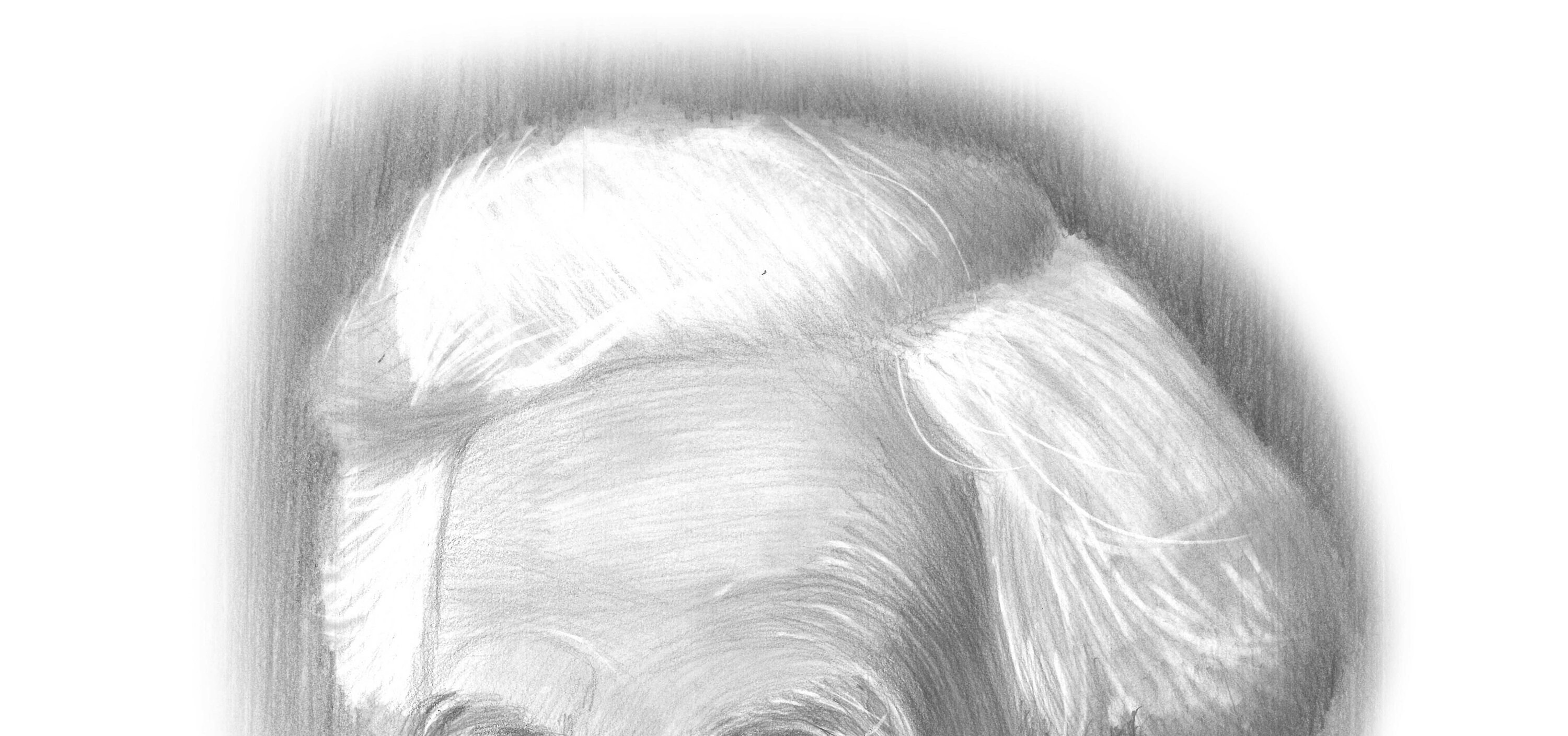 INSTANT DOWNLOAD Bertrand Russell Poster. Motivasyonel - Etsy