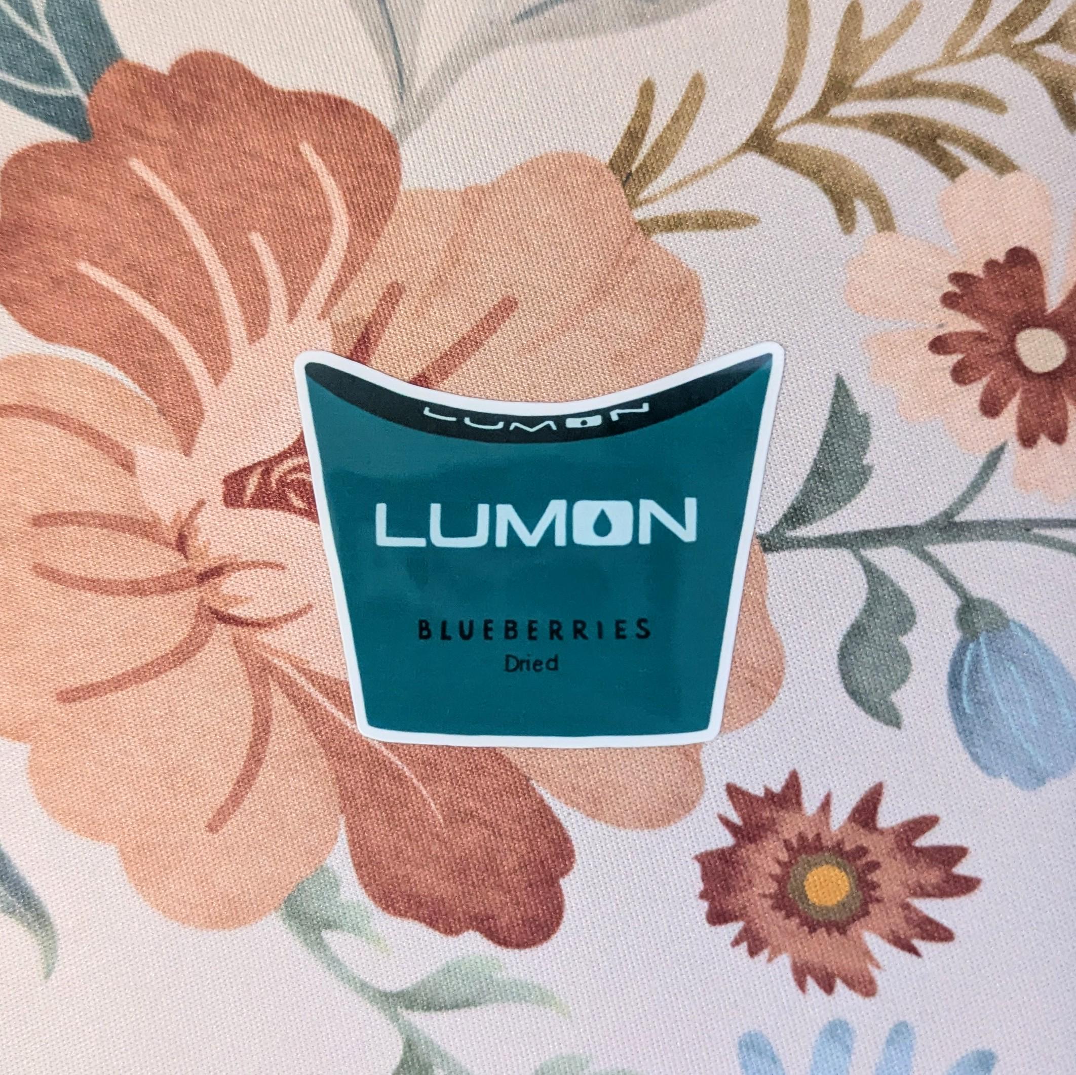 Lumon Snack Pack Sticker Set - Etsy