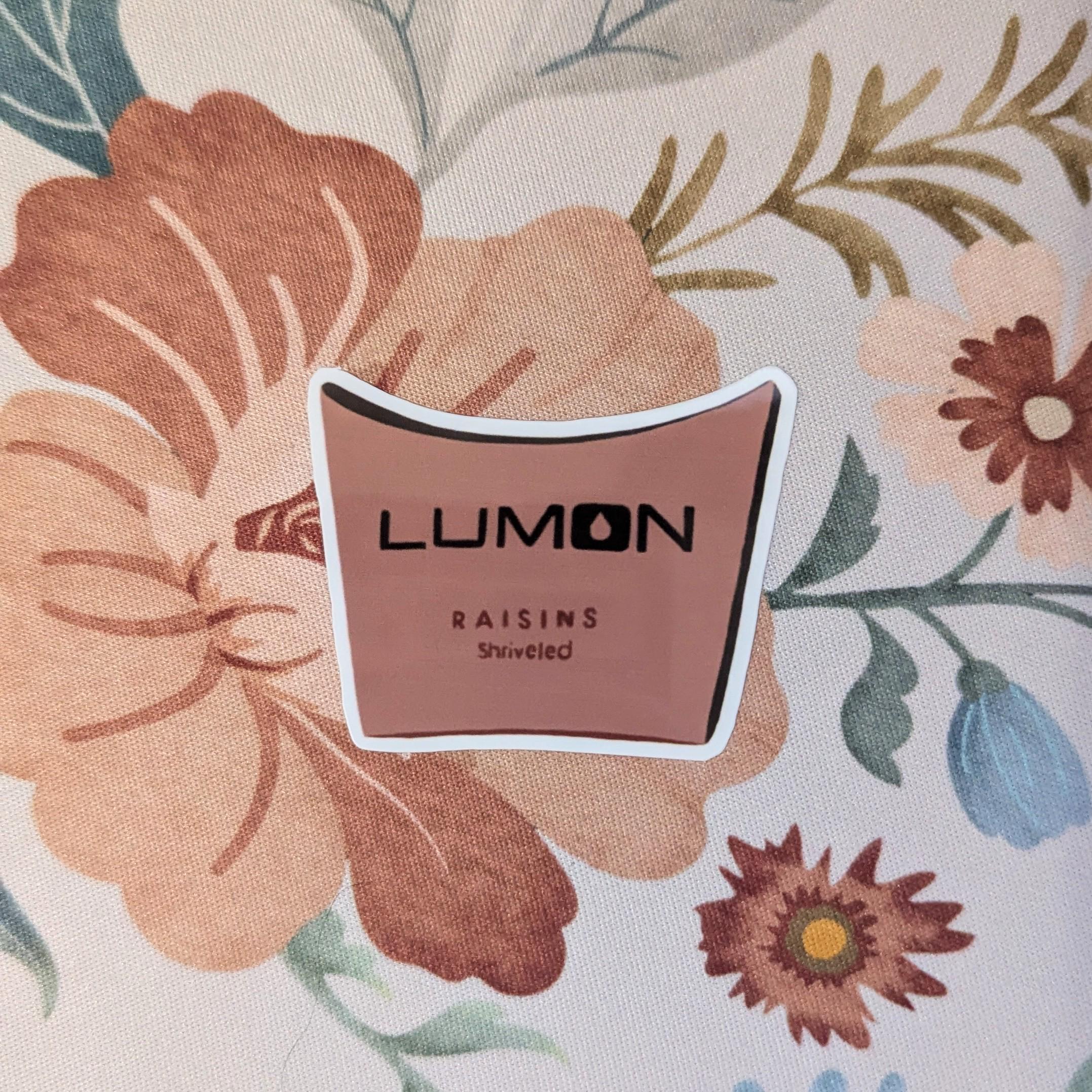Lumon Snack Pack Sticker Set - Etsy