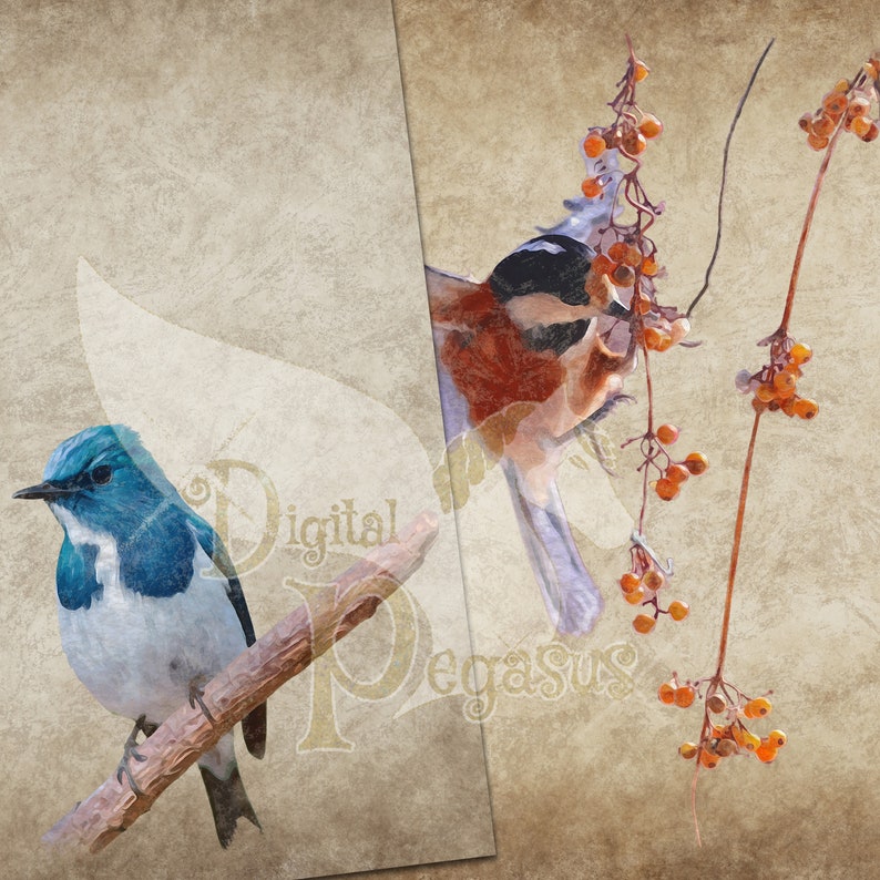 Romantic Birds Digital Paper | Vintage Printable Backgrounds ...
