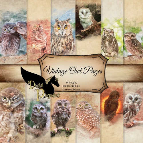 Vintage Owl Printable Paper Woodland Journal Paper - Etsy