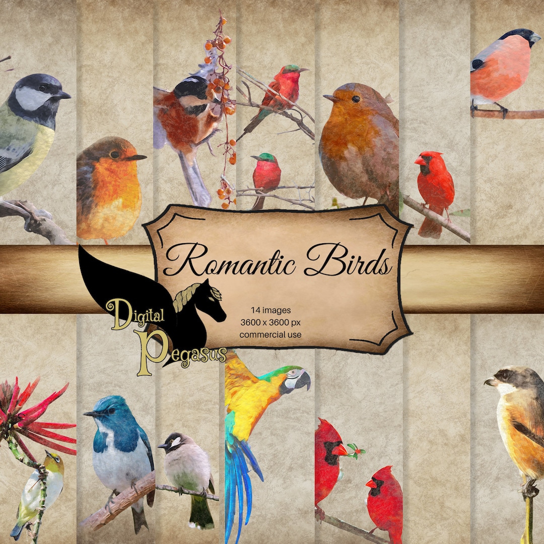 Romantic Birds Digital Paper | Vintage Printable Backgrounds ...