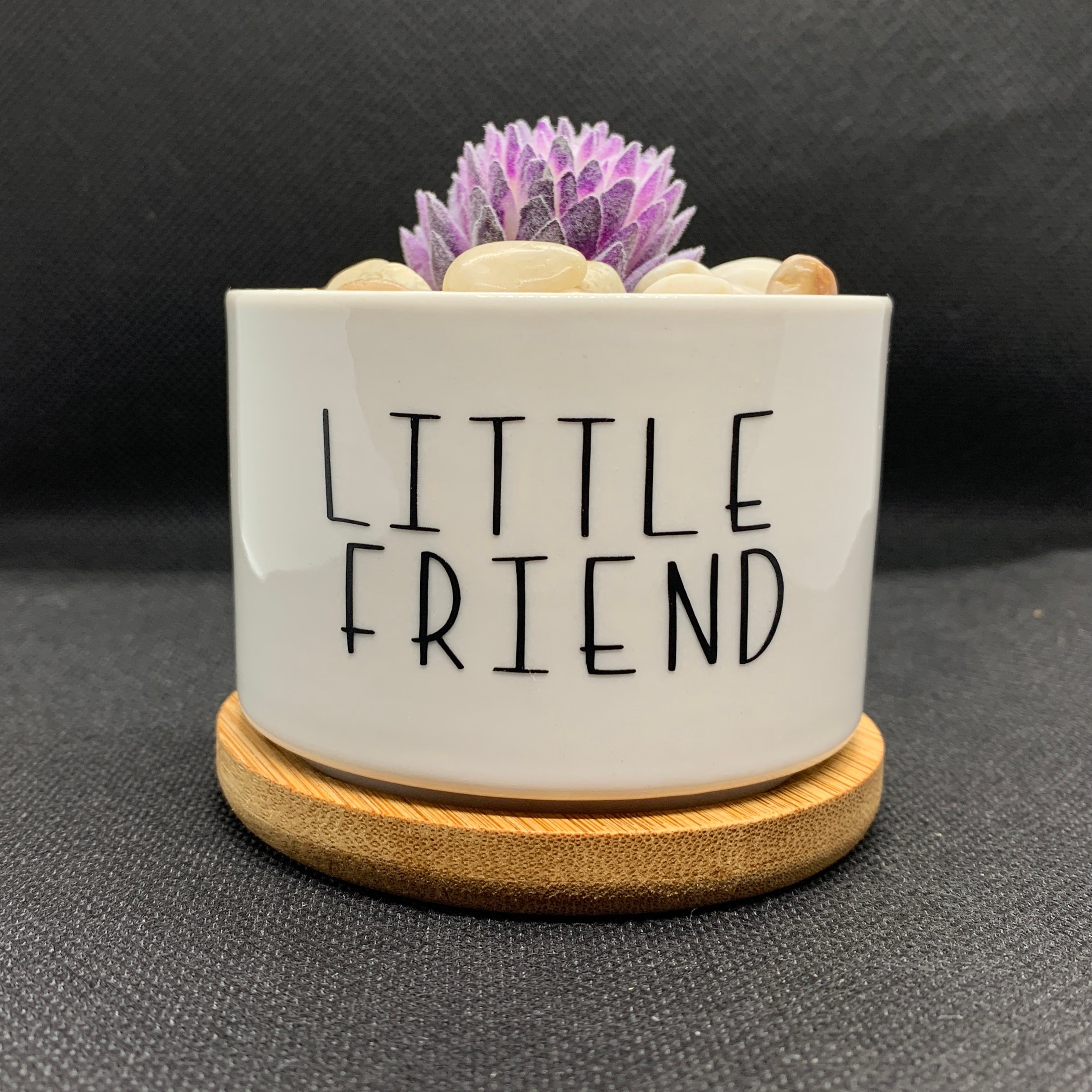 Little Friend Ceramic Succulent Planter Duo | Etsy