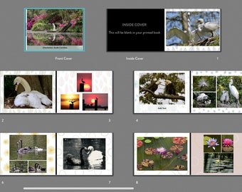 Bird Coffee Table Book - Etsy