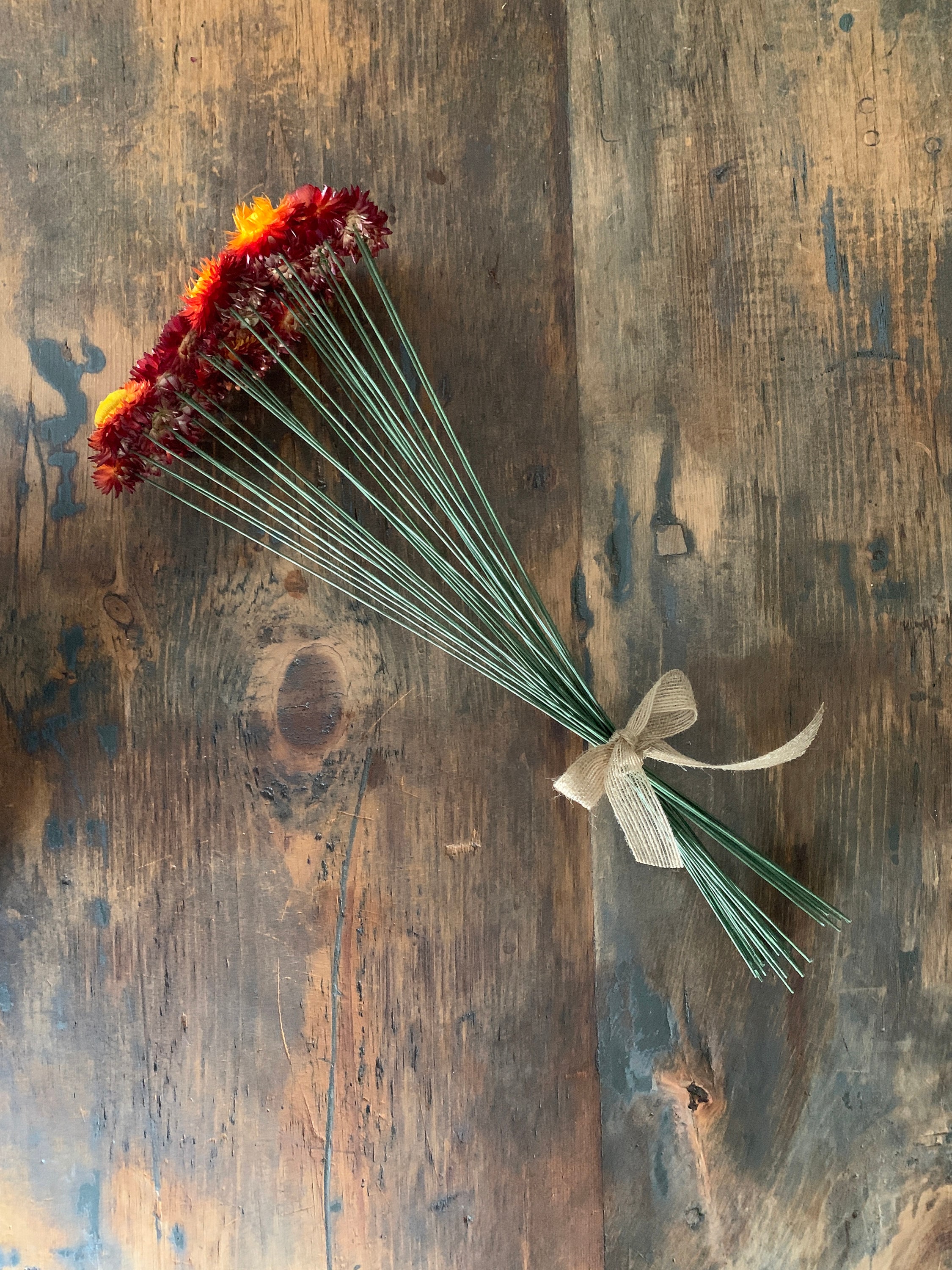 Scarlet Strawflower Stems Naturally Dried Strawflower Bouquet Red ...