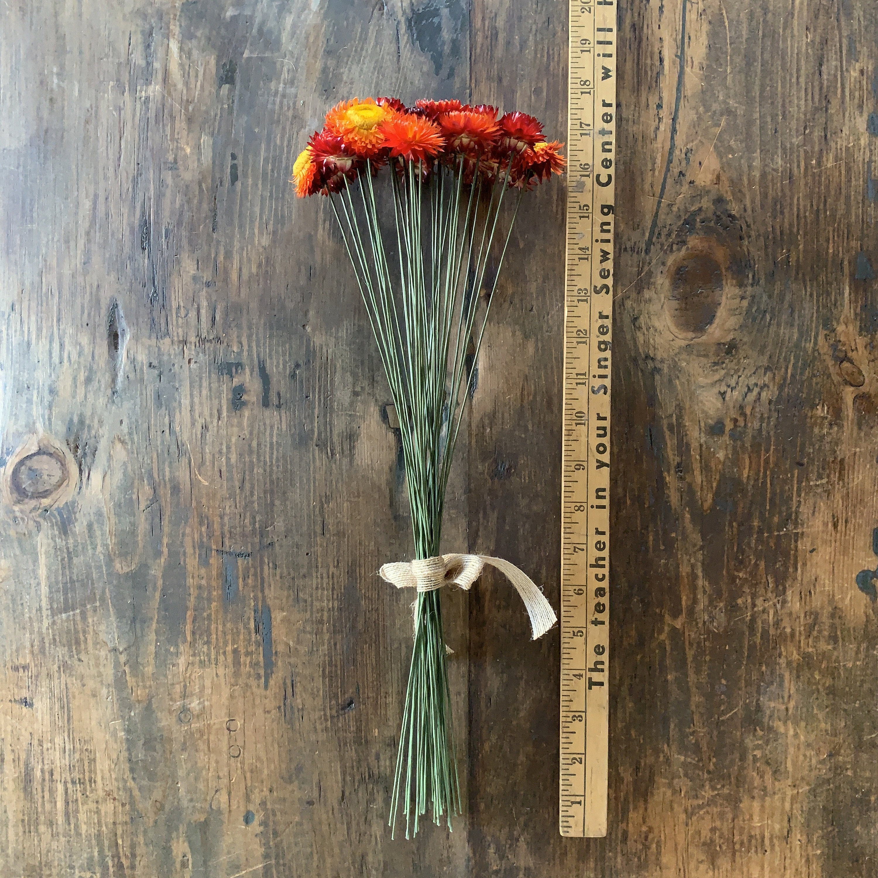 Scarlet Strawflower Stems Naturally Dried Strawflower Bouquet Red ...