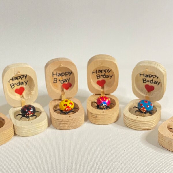 Miraculous Ladybug Jewelry Box - Etsy